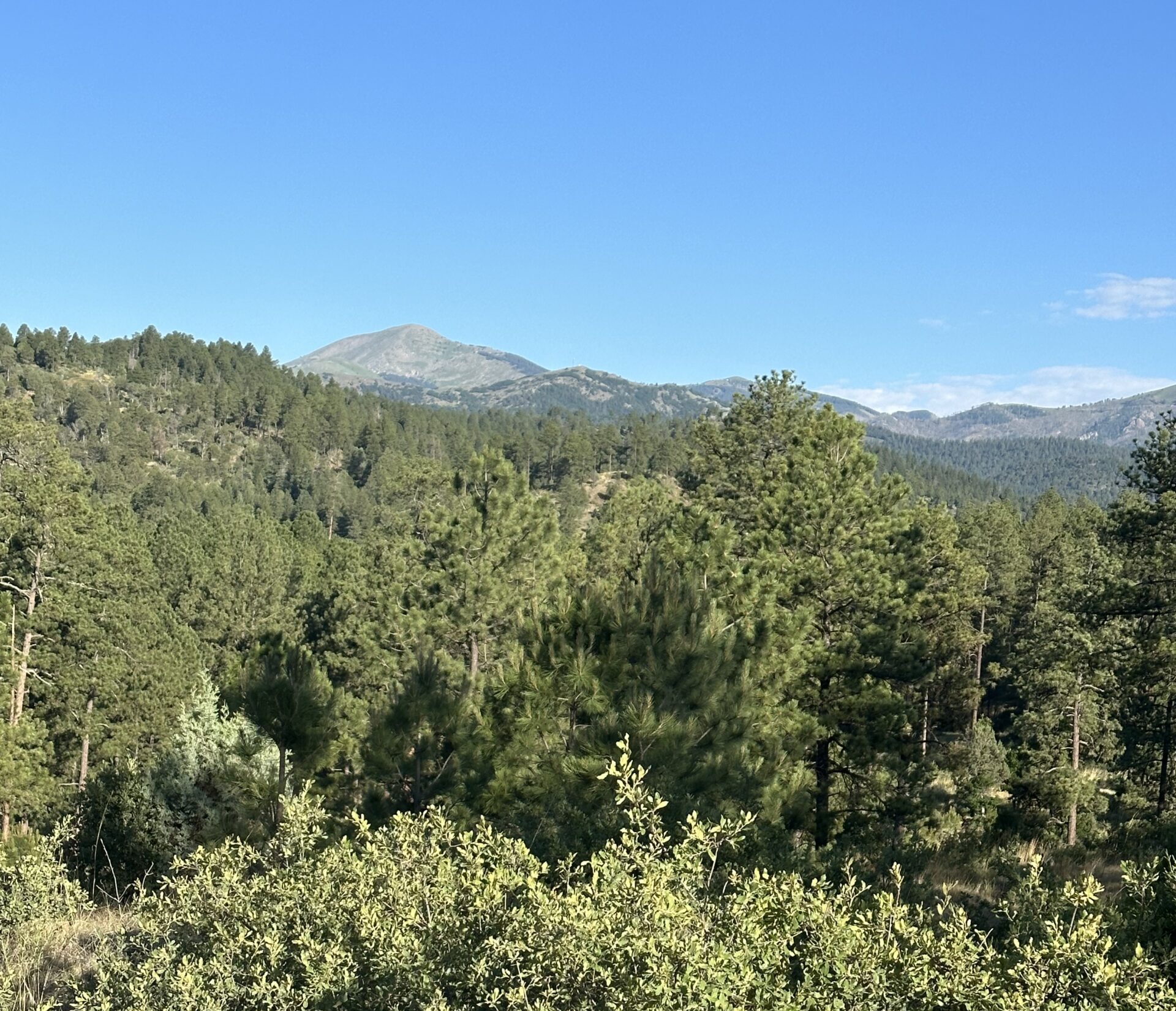 Sapphire + Co - Weekend Getaway to Ruidoso
